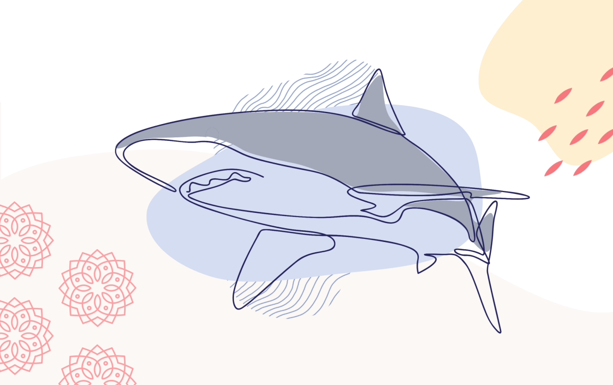 Shark Week Menstruation Shark Week Period Tracker, Cycle Tracker,