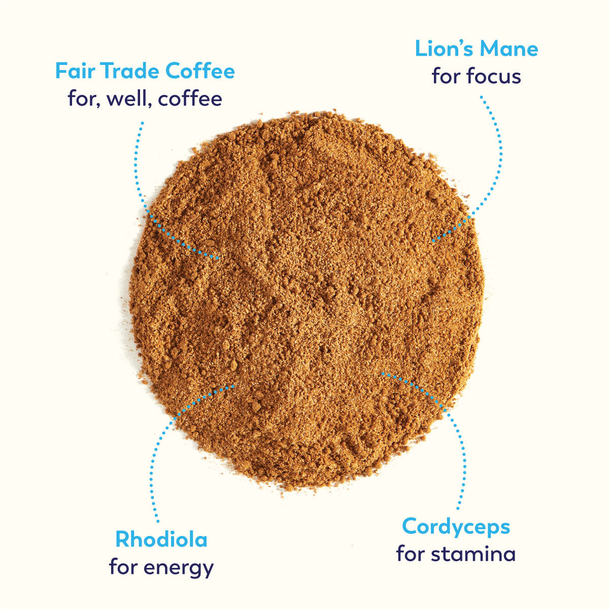 Radiant Roast Coffee – Rasa